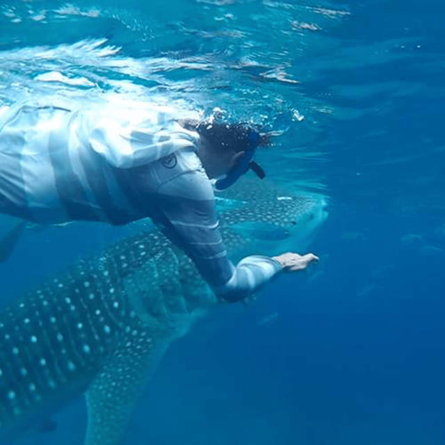 Cebu: Oslob Whaleshark Experience Shared Tour - Final thoughts