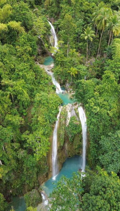 Cebu Oslob WhaleShark,Inambakan Falls& Moalboal Sardines Run - Practical Tips for Travelers