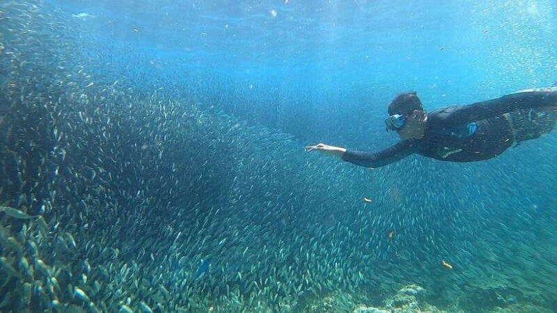 Cebu: Osmeña Peak hike and Sardines Run Snorkel adventure - Final thoughts