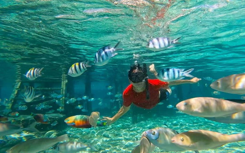 Cebu: Private Mactan Island Hopping Tour with Lunch - An In-Depth Look at the Mactan Island Hopping Experience