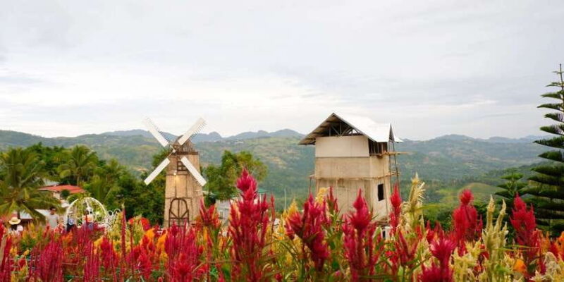 Cebu: Private Panoramic Tour with Dinner - Transportation, Group Size, and Overall Value