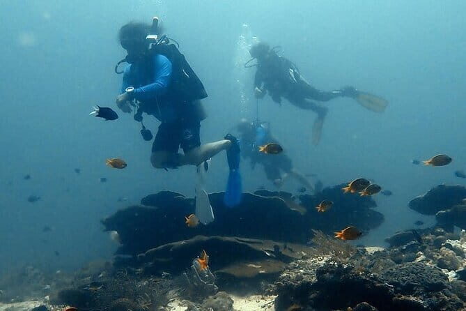 Cebu Private Tour 3 Islands Hopping Gilutungan Caohagan Nalusuan - The Sum Up