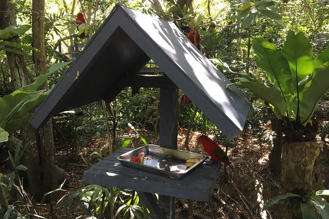 Cebu Safari and Adventure Park - Who Should Consider This Tour?