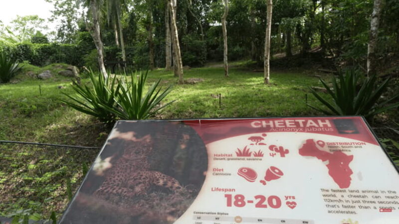 Cebu Safari: Experience Wildlife Up Close - Who Will Love This Tour?