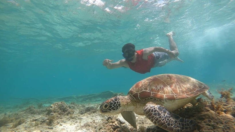 Cebu: Sardine Run Snorkeling, Mantayupan Falls & ATV Thrills - Authentic Encounters and Practical Tips