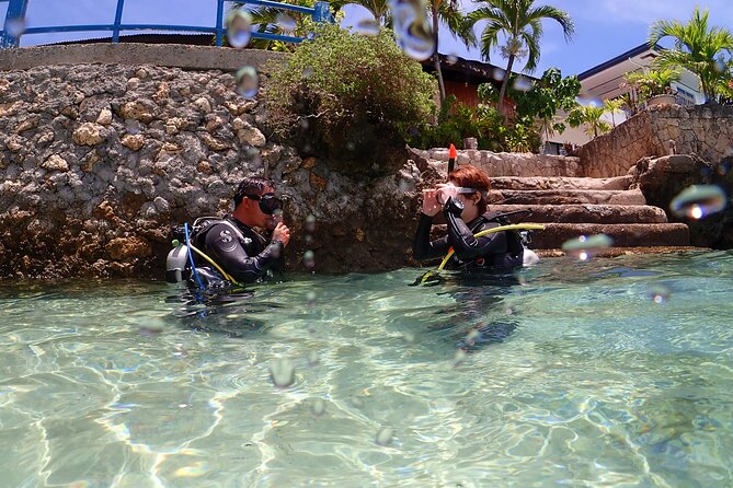 Cebu: Scuba Diving Experience beach entry in Mactan - Key Points