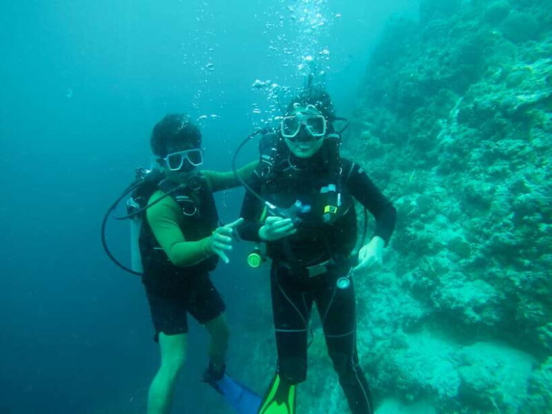Cebu: Scuba Diving with Sardines and Pescador Island Snorkel - Authentic Perspectives from Travelers