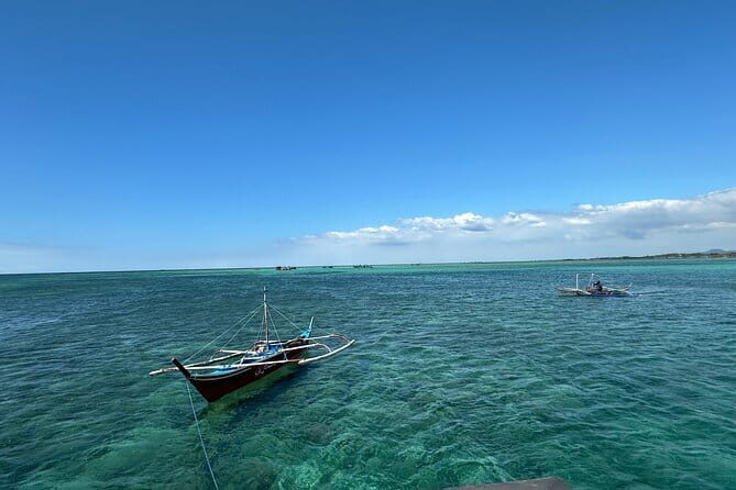 Cebu Shared Tour From Whaleshark Encounter to Nature Adventure - Frequently Asked Questions