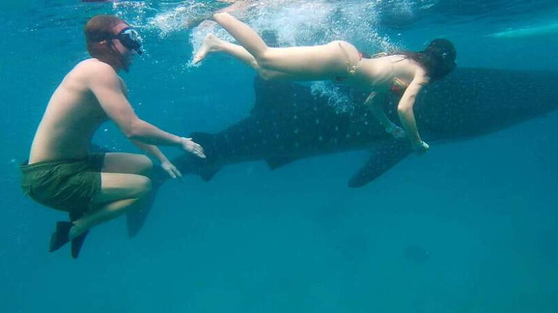 Cebu Shared Tour: Whaleshark Swimming & Kawasan Canyoneering - Pricing and Value