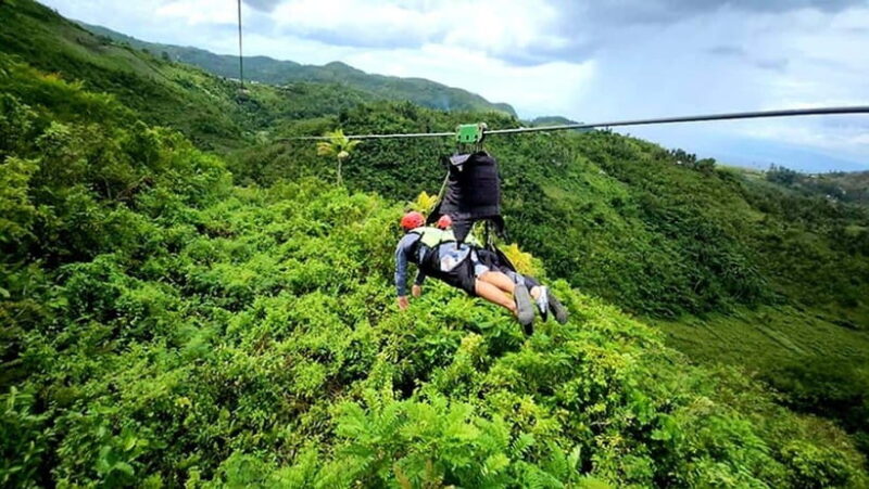 Cebu Shared Tour: Whaleshark Swimming & Kawasan Canyoneering - Who Is This Tour Best For?