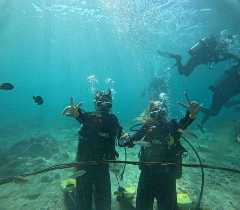 Cebu: snorkeling +3 Water activity tour - Who Should Book This Tour?