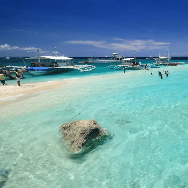 Cebu: Sumilon Isand Whale Shark and Turtle Snorkeling Tour - Key Points