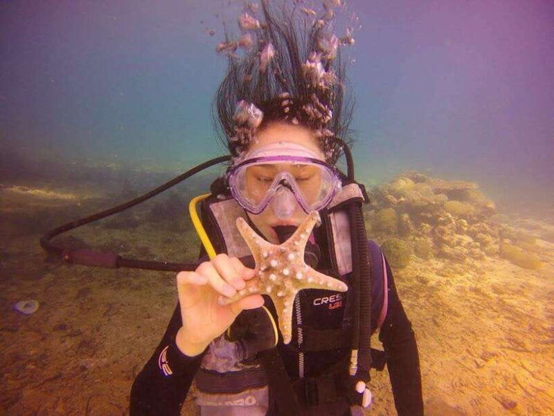 CEBU: Try diving & souvenir underwater photo - The Itinerary in Detail