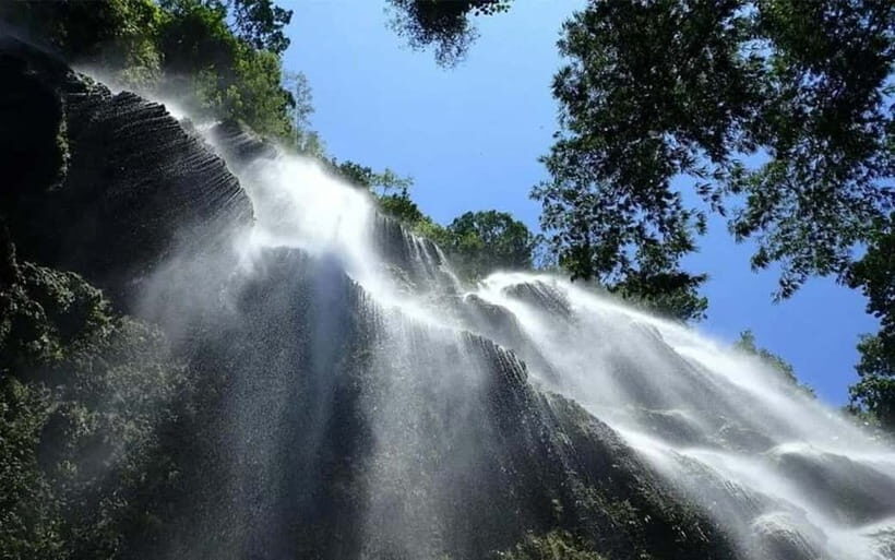 Cebu: Whale Shark, and Sumilon Sandbar and Inambakan Falls - An In-Depth Look at the Tour