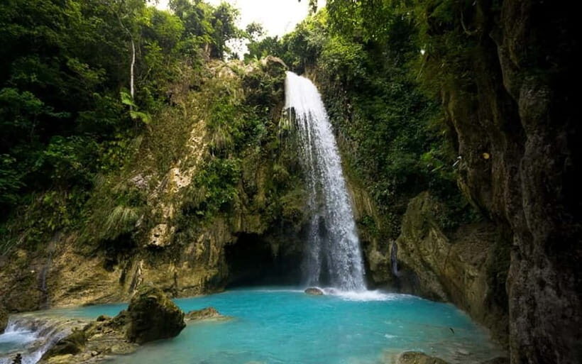 Cebu: Whale Shark, and Sumilon Sandbar and Inambakan Falls - Authentic Experiences and Traveler Insights
