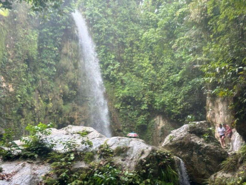 Cebu: Whale Shark, Inambakan Falls & Moalboal Sardine Tour - What’s Included and What’s Not