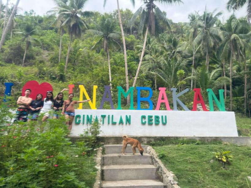 Cebu: Whale Shark, Inambakan Falls & Moalboal Sardine Tour - What Travelers Say