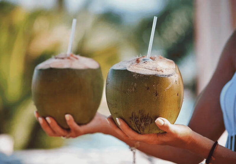 Cebu: Whale Shark, Monkey Sanctuary, & Moalboal Snorkel Tour - Who Will Love This Tour?