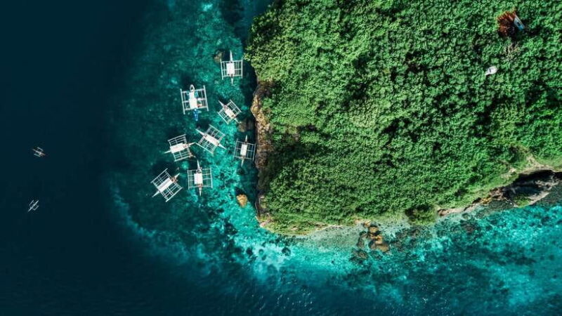 Cebu: Whale Shark, Monkey Sanctuary, & Moalboal Turtles Tour - Final Thoughts: Is This Tour Right for You?