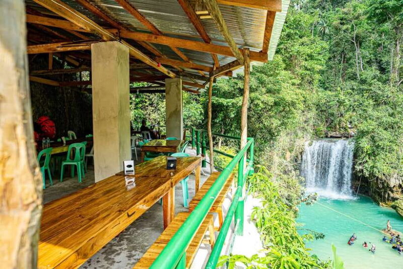 Cebu: Whale Shark Snorkeling & Kawasan Canyoning Tour - The Sum Up