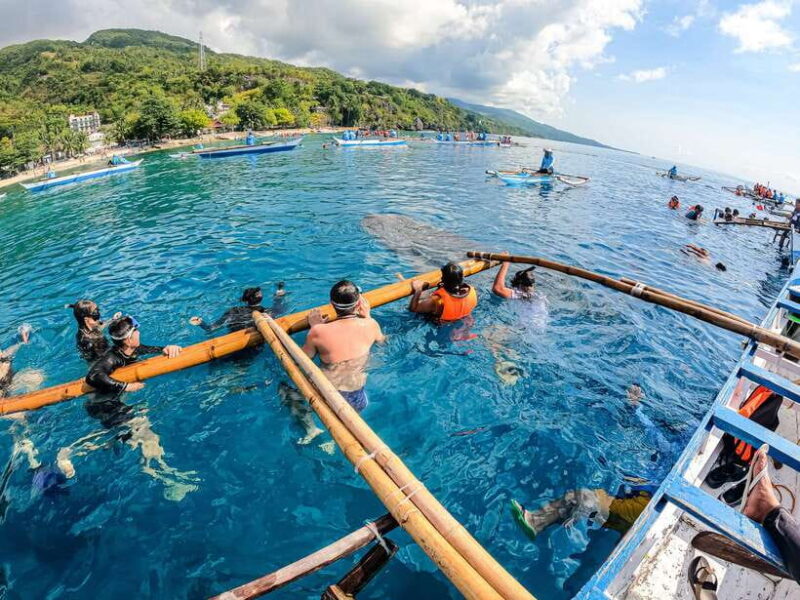 Cebu: Whale Shark Snorkeling & Kawasan Canyoning Tour - FAQ
