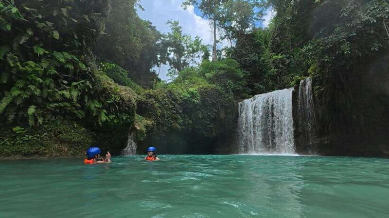 Cebu: Whale Shark Swim and Kawasan Canyoneering Tour - Introduction