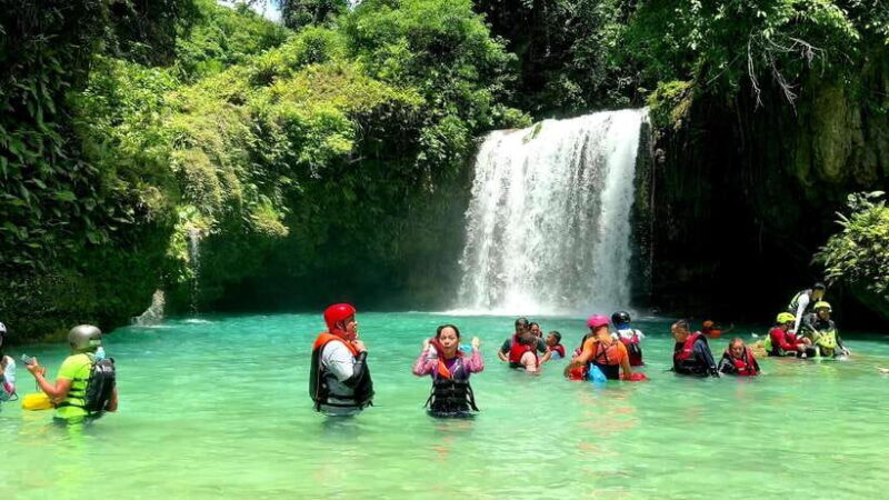 Cebu: Whale Shark Swim and Kawasan Canyoneering Tour - Detailed Itinerary
