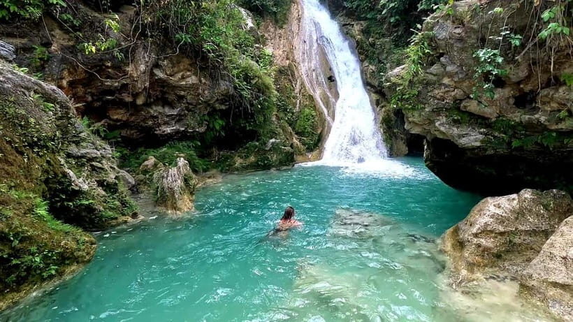 Cebu: Whale Shark Swimming & Inambakan Falls Adventure - The Experience of Swimming with Whale Sharks