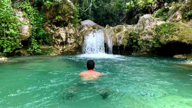 Cebu: Whale Shark Swimming & Inambakan Falls Adventure - Key Points