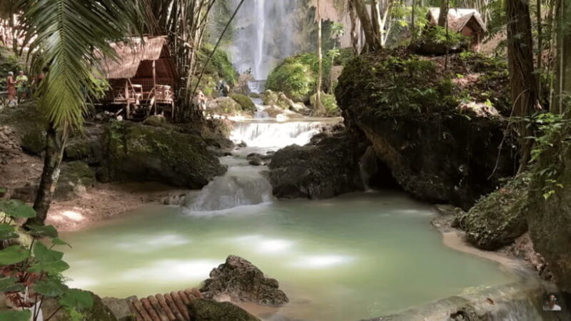 Cebu: Whale Shark Watching, Tumalog Falls & Sumilon Island - Who Will Love This Tour?