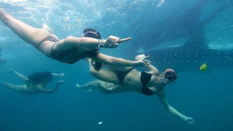 Cebu: Whale Sharks, Ka-Treasure Water Terraces & Simala Tour - In The Sum Up