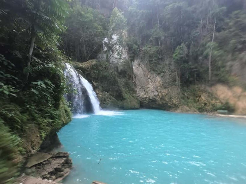 Cebu: Whale Sharks, Kawasan Falls, & Sardines Run Snorkeling - Detailed Breakdown of the Itinerary
