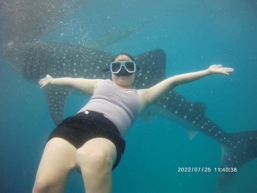Cebu: Whale Sharks, Kawasan Falls, & Sardines Run Snorkeling - Authenticity and Real Experiences