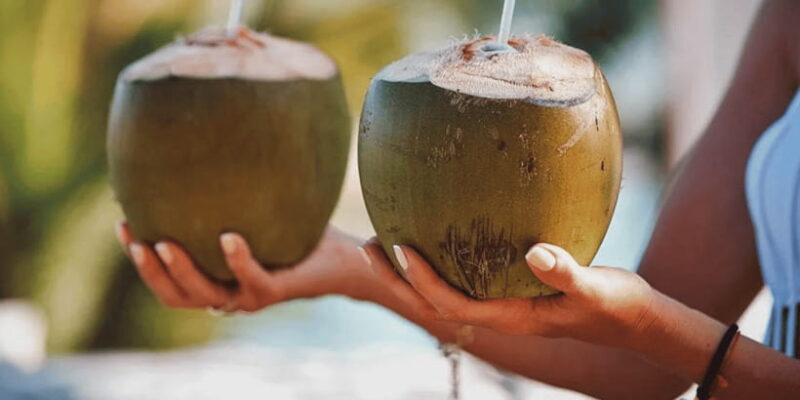 Cebu: Whale Sharks, Tumalog Falls, and Monkey Sanctuary Tour - FAQ