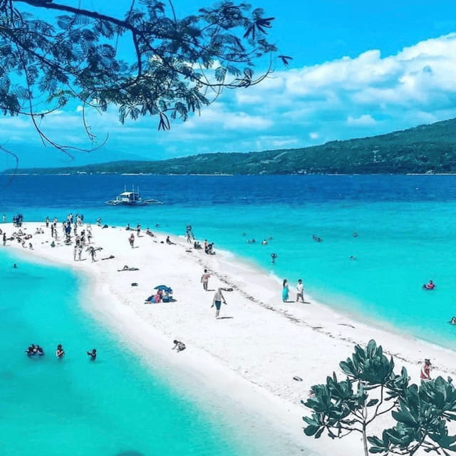 Cebu Whale Sharks Tumalog Falls Sumilon - Starting with the Whale Shark Encounter in Oslob