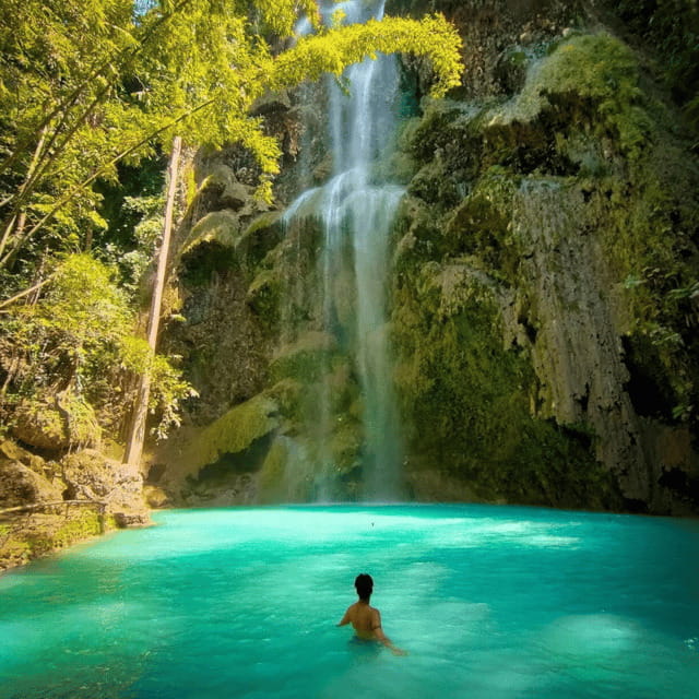Cebu Whale Sharks Tumalog Falls Sumilon - Practical Details: Transport, Timing, and Group Size