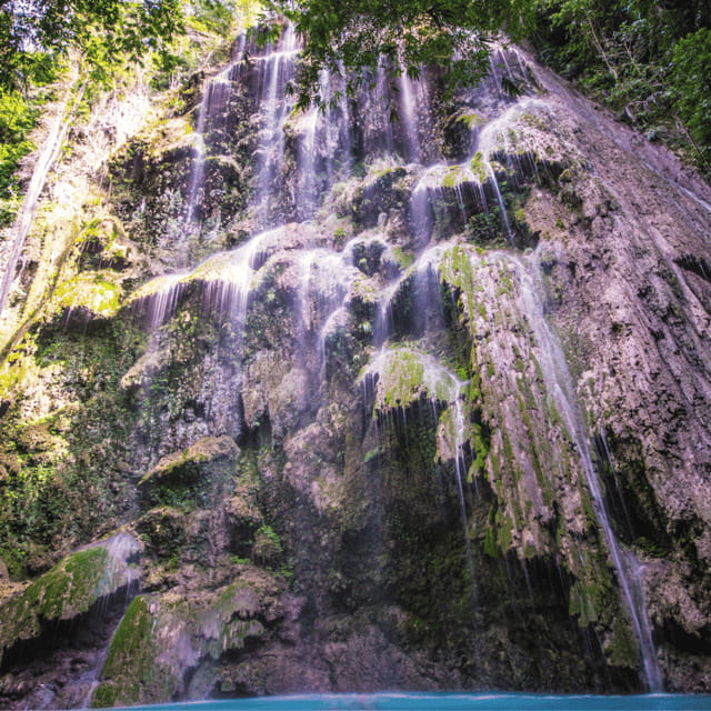 Cebu Whale Sharks Tumalog Falls Sumilon - Value for Money