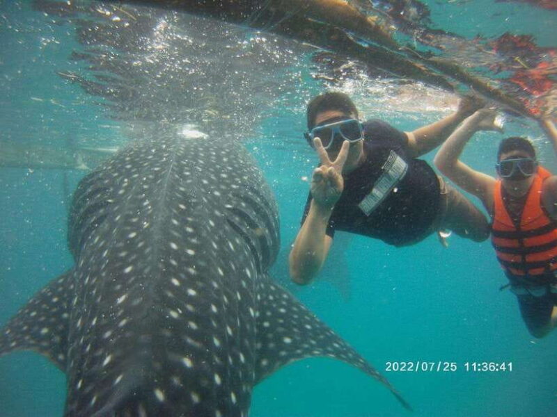 Cebu: Whaleshark Encounter, Tumalog Falls, & Monkey Viewing - Final Thoughts