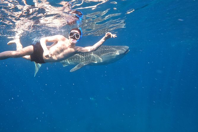 Cebu Whaleshark Tour - Exploring Sumilon Island
