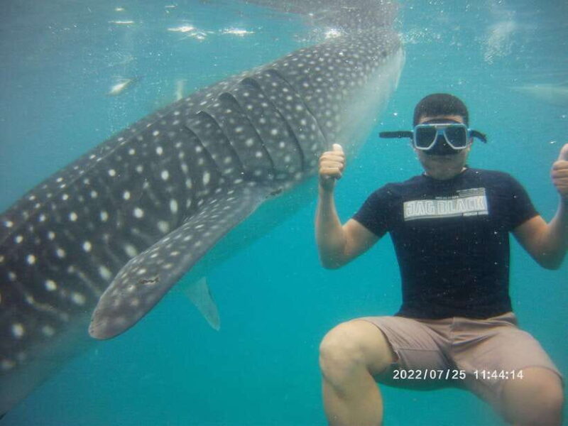 Cebu: WhaleShark , Tumalog Falls, & Sardine Run Snorkeling - The Bottom Line