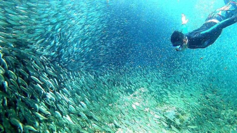 Cebu:ATV, Mantayupan Falls & Pescador Island Hopping w/Meals - The Sum Up: Is This Tour Worth Your While?