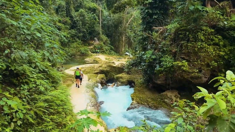 Cebu:Oslob Whale Shark Swimming & Kawasan Falls Canyoneering - Final Words
