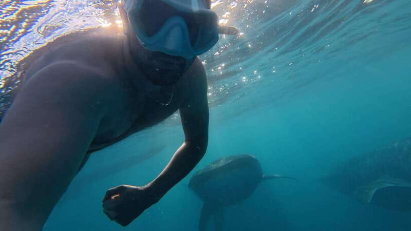 Cebu:Oslob WhaleSharkWatching,Kawasan Canyoneering - Visualizing Your Experience