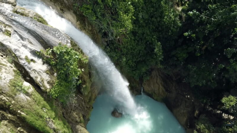 Cebu:Oslob Whales,Sumilon Island & Inambakan Falls Adventure - An In-Depth Look at the Cebu Adventure Tour