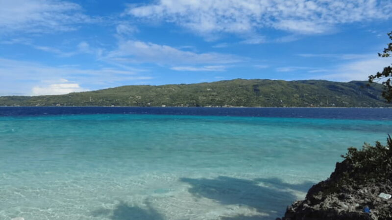 Cebu:Oslob Whales,Sumilon Island & Inambakan Falls Adventure - Who Is This Tour Best For?