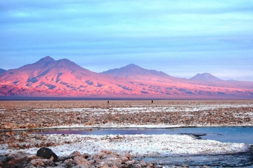 Cejar Lagoon, Eyes of the Salt Flat and Tebinquinche Lagoon - The Sum Up: Who Will Appreciate This Tour?