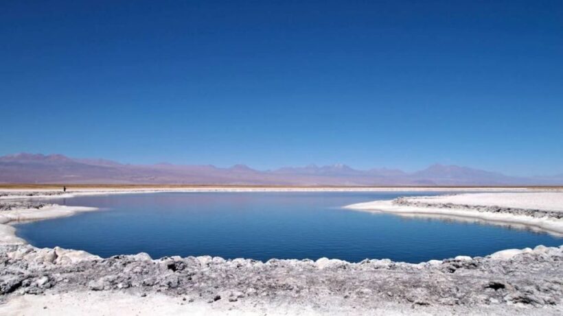 Cejar Lagoon, Tebenquiche Lagoon and Ojos del Salar - Key Points