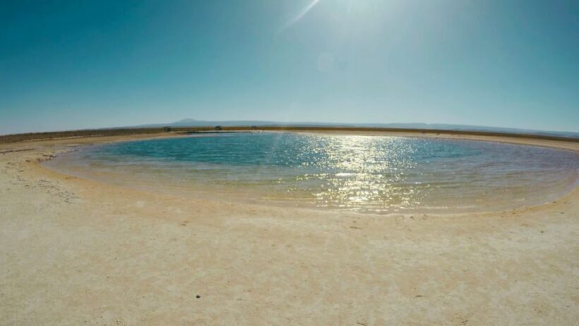 Cejar Lagoon Tour - Flotation, Cocktail & More!" - Key Points