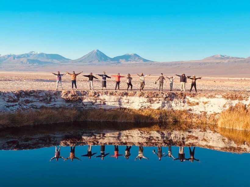 Cejar Lagoon Tour: San Pedro de Atacama - Key Points