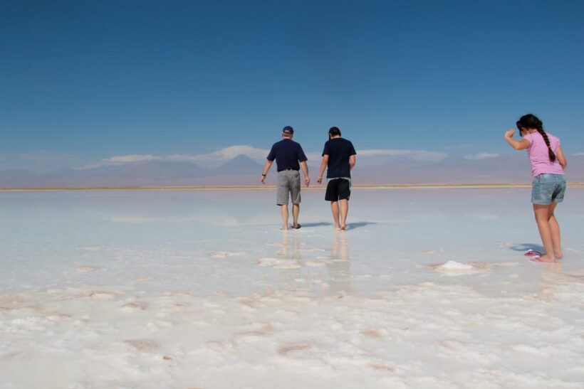Cejar & Tebenquiche Lagoons Tour with Ojos del Salar Atacama - What Makes This Tour Stand Out?